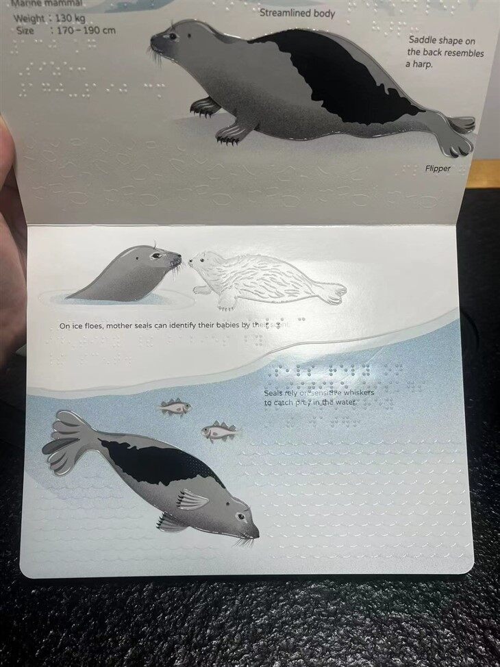 China Braille Book Manufacturers Suppliers Factory - Customized Braille ...