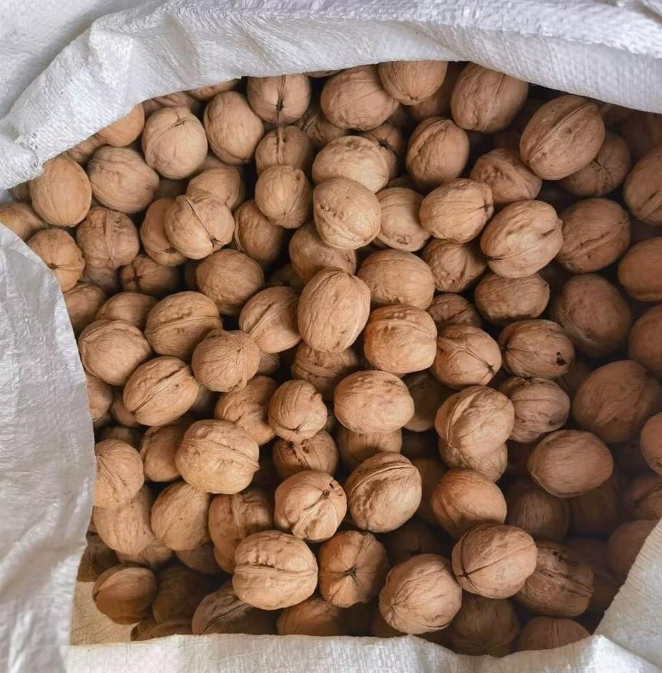 China High Quality Organic Walnut Factory - Discount High Quality ...